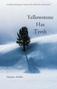 25 Books to Read Before Visiting Yellowstone National Park – National ...