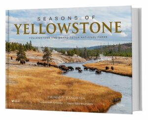 25 Books to Read Before Visiting Yellowstone National Park – National ...