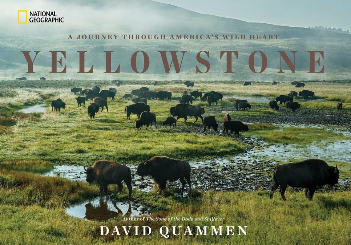25 Books to Read Before Visiting Yellowstone National Park – National ...