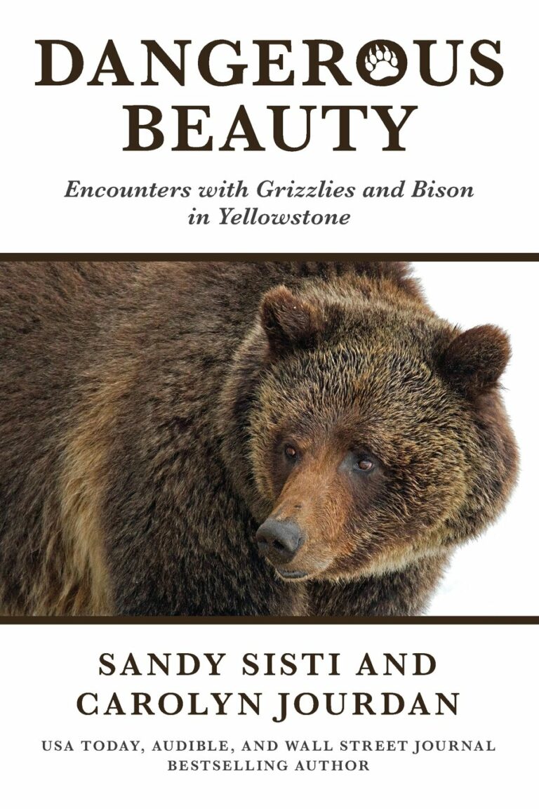 25 Books To Read Before Visiting Yellowstone National Park - National ...