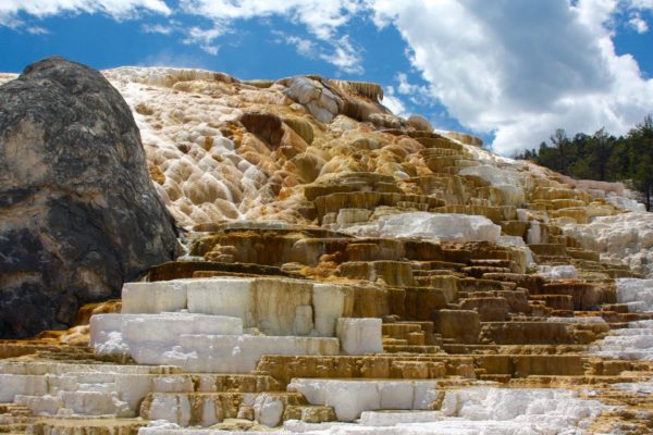 How To Make The Most Of One Day In Yellowstone National Park ...