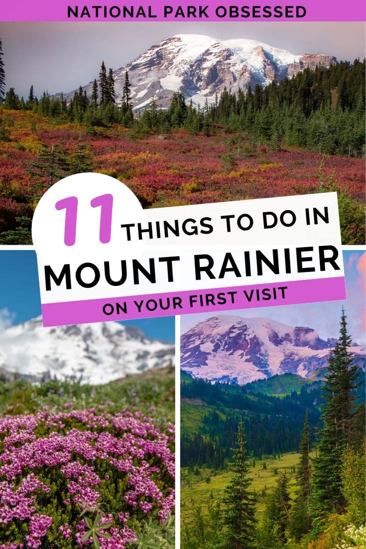 11 Things NOT To Miss On Your First Visit To Mount Rainier National ...