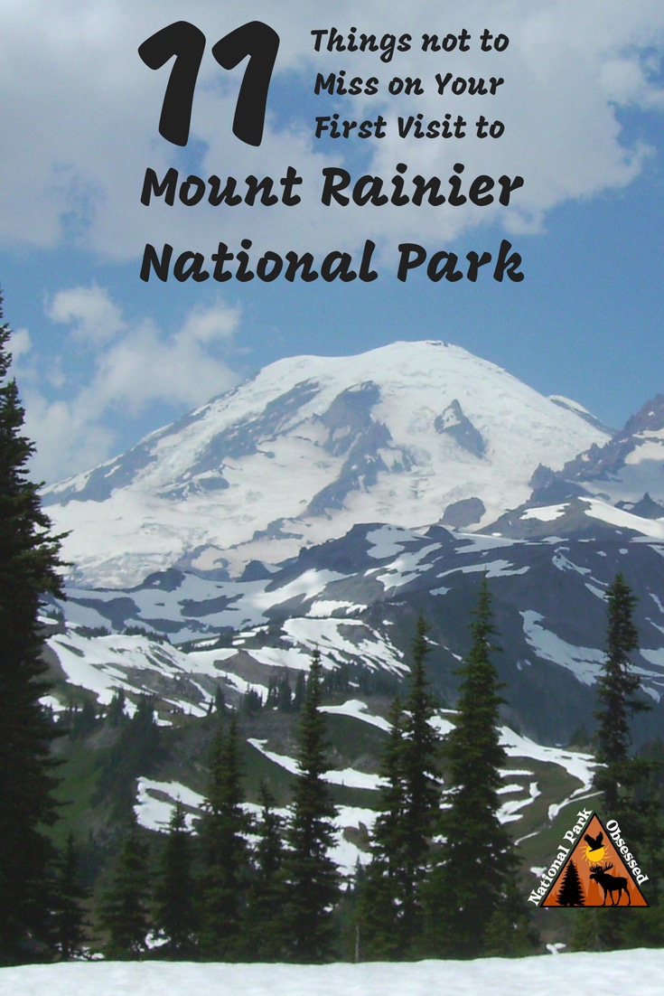 11 Things NOT To Miss On Your First Visit To Mount Rainier National ...
