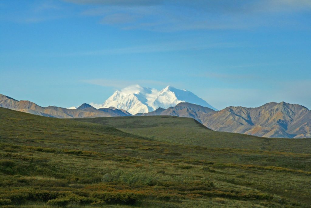 Denali National Park Camping: The Definitive Guide To Camping In Denali ...