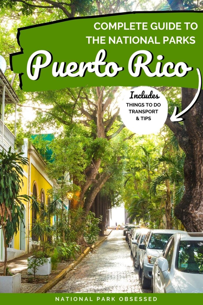 National Parks In Puerto Rico: Explore The Only Puerto Rico National ...
