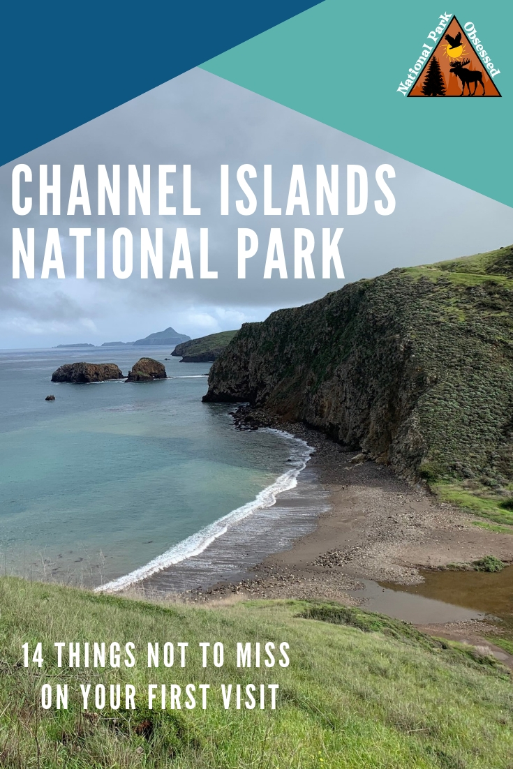 14 Things Not To Miss On Your First Visit To Channel Islands National ...