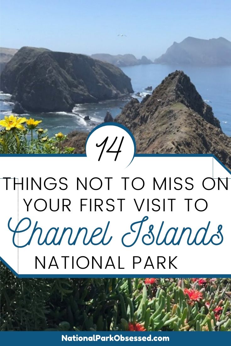 14 Things Not To Miss On Your First Visit To Channel Islands National ...