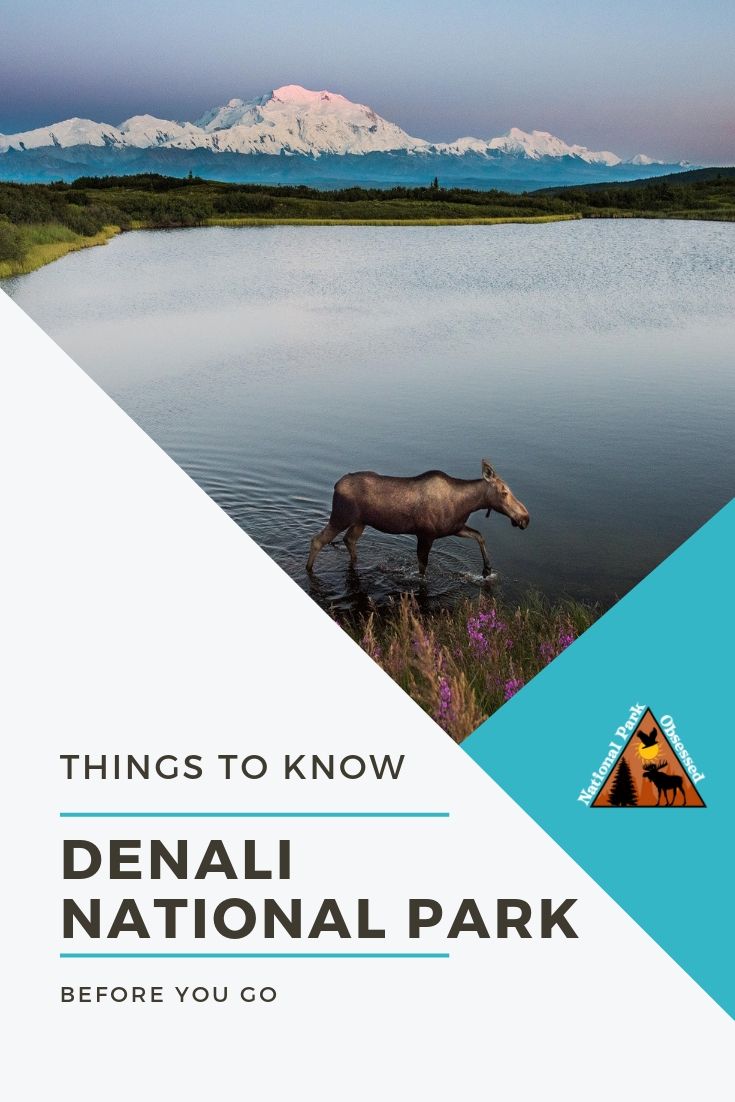 11 Things To Know Before Visiting Denali National Park And Preserve ...