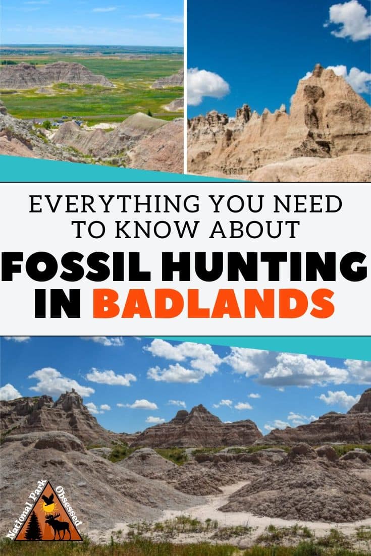 Everything You Need To Know About Fossil Hunting In Badlands National ...
