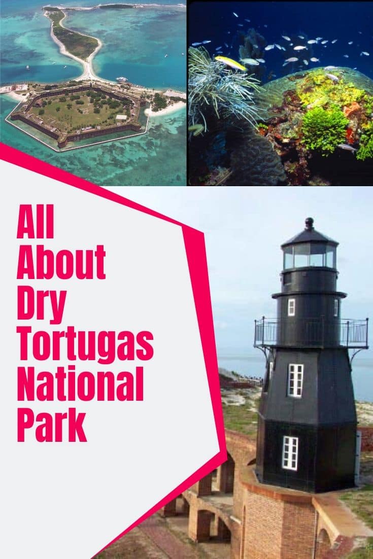 All About Dry Tortugas National Park - National Park Obsessed