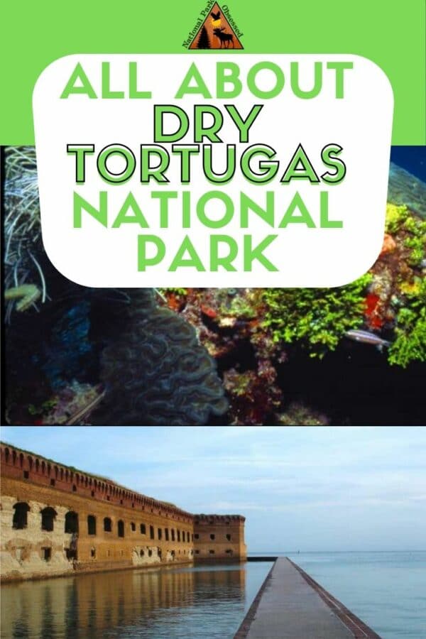 All About Dry Tortugas National Park - National Park Obsessed