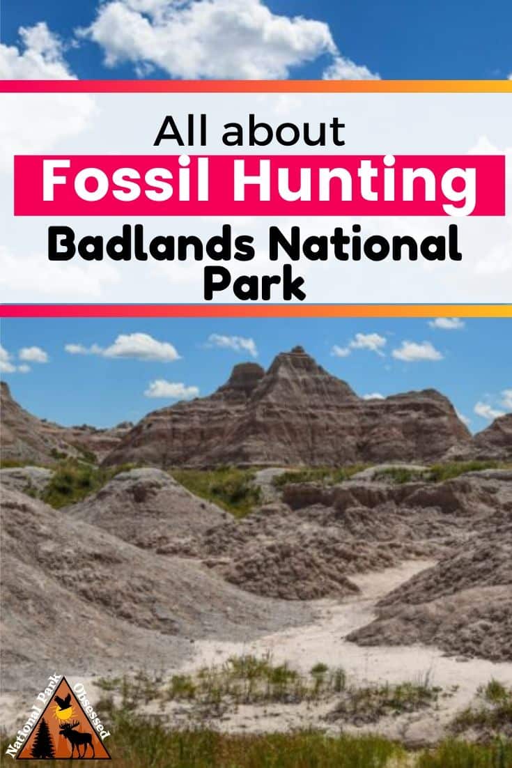 Everything You Need To Know About Fossil Hunting In Badlands National ...