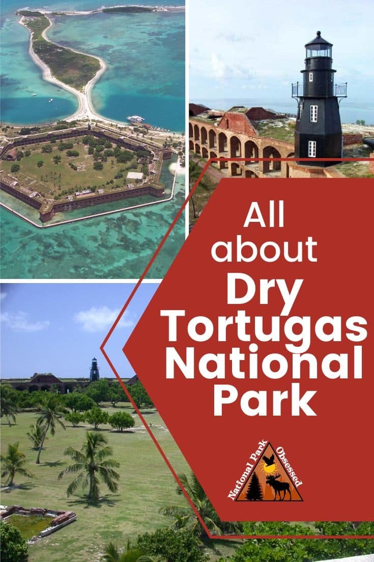 All About Dry Tortugas National Park - National Park Obsessed