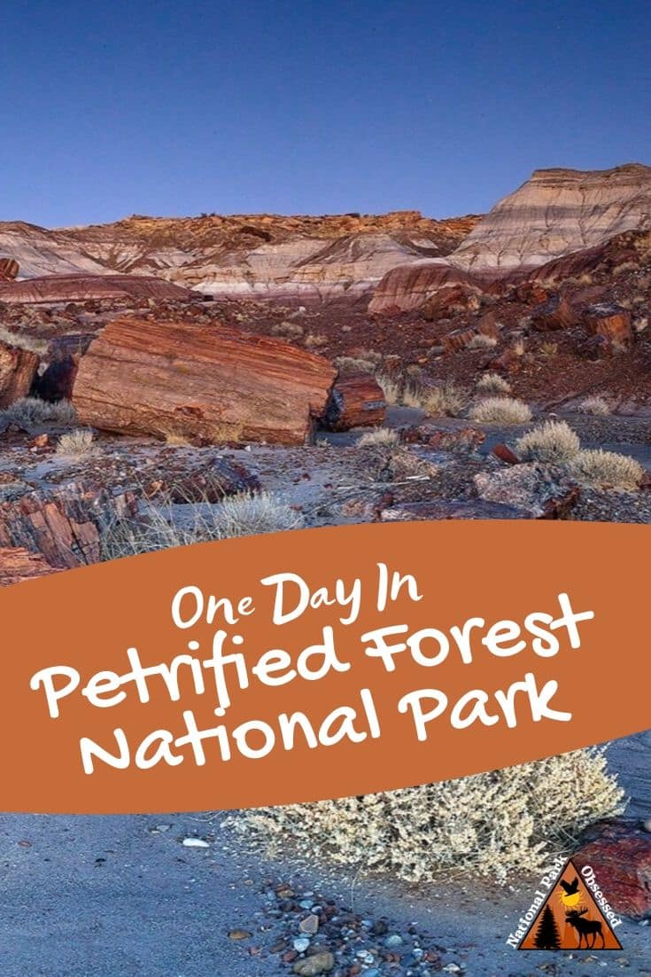 One Day In Petrified Forest Itinerary: Make The Most Of Your Day ...