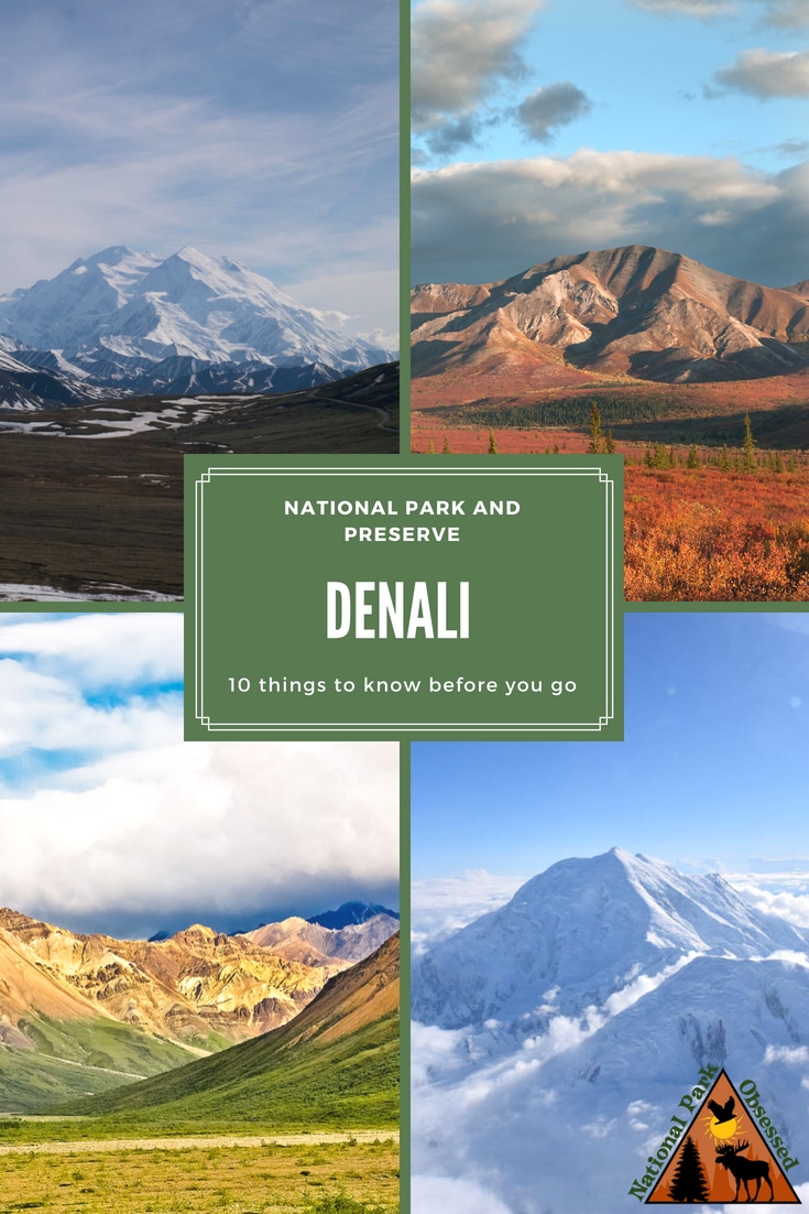 11 Things To Know Before Visiting Denali National Park And Preserve ...