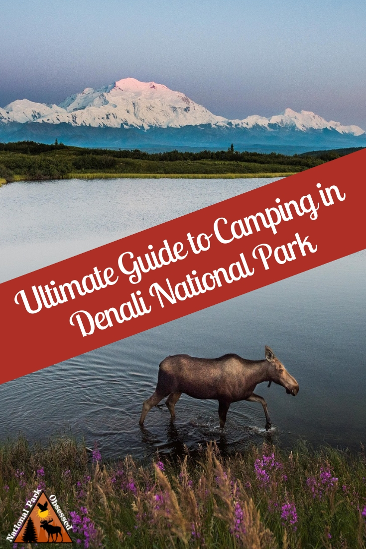 Denali National Park Camping: The Definitive Guide To Camping In Denali ...