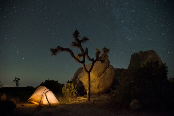 The Ultimate Guide To Camping In Joshua Tree National Park - National ...
