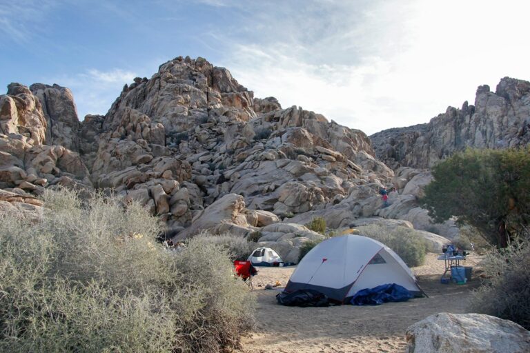 The Ultimate Guide To Camping In Joshua Tree National Park - National ...