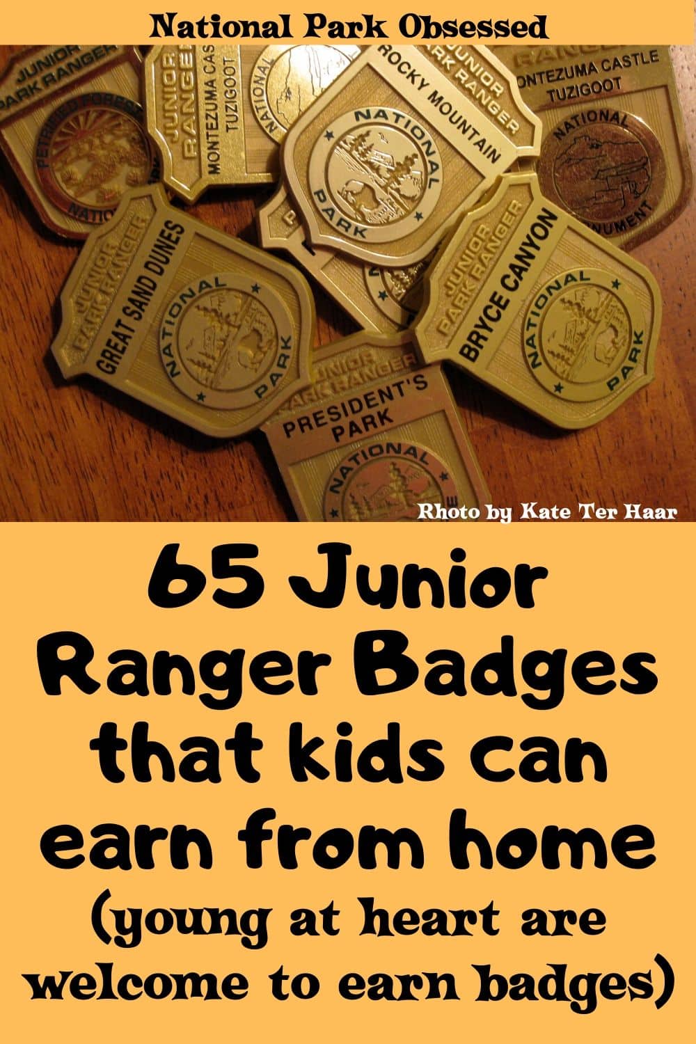 Junior Ranger Badges Kids Can Earn At Home - National Park Obsessed
