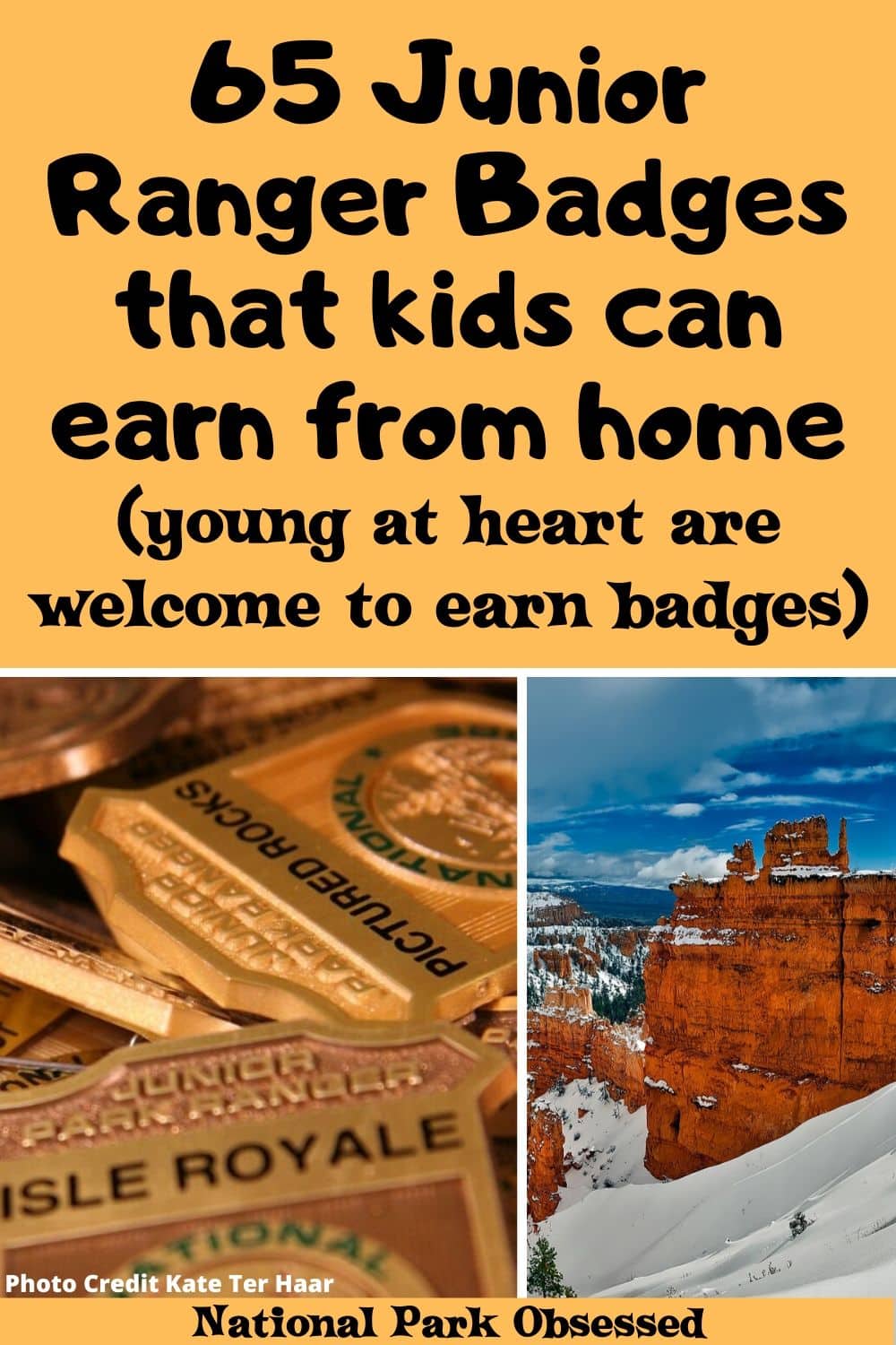 Junior Ranger Badges Kids Can Earn At Home - National Park Obsessed
