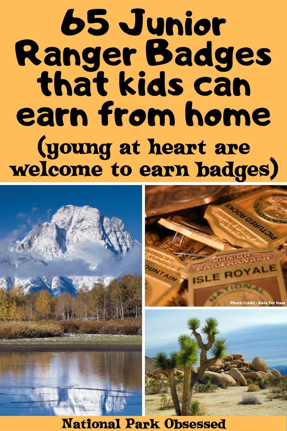 Junior Ranger Badges Kids Can Earn At Home - National Park Obsessed