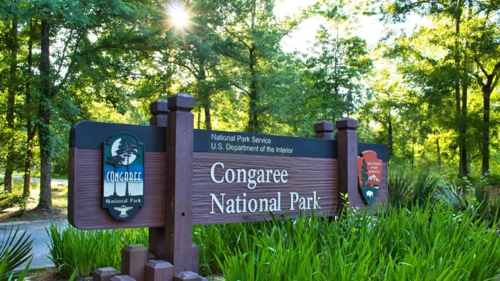 7 Things You Can’t Miss On Your First Visit To Congaree National Park ...
