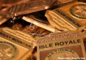 Junior Ranger Badges Kids Can Earn At Home - National Park Obsessed