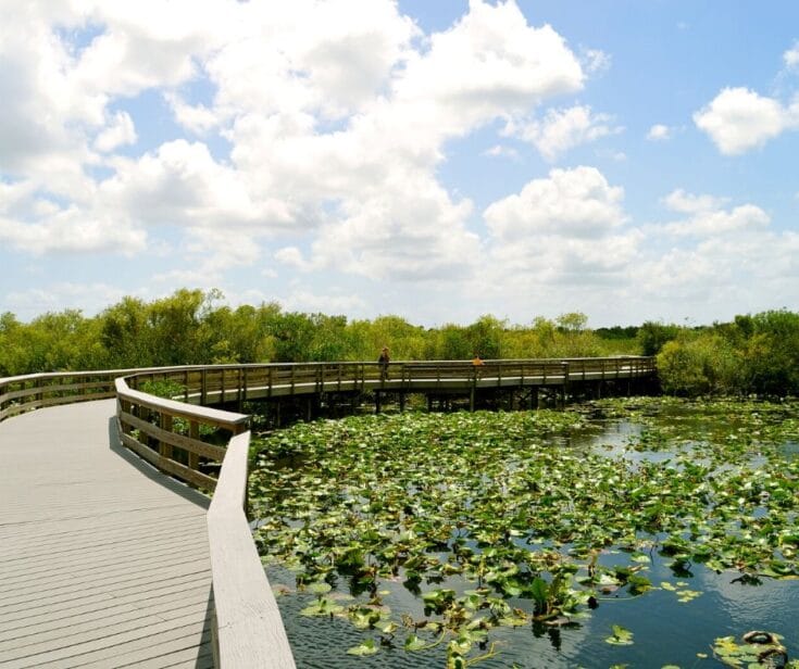 23 Best USA National Parks To Visit In The Spring - National Park Obsessed