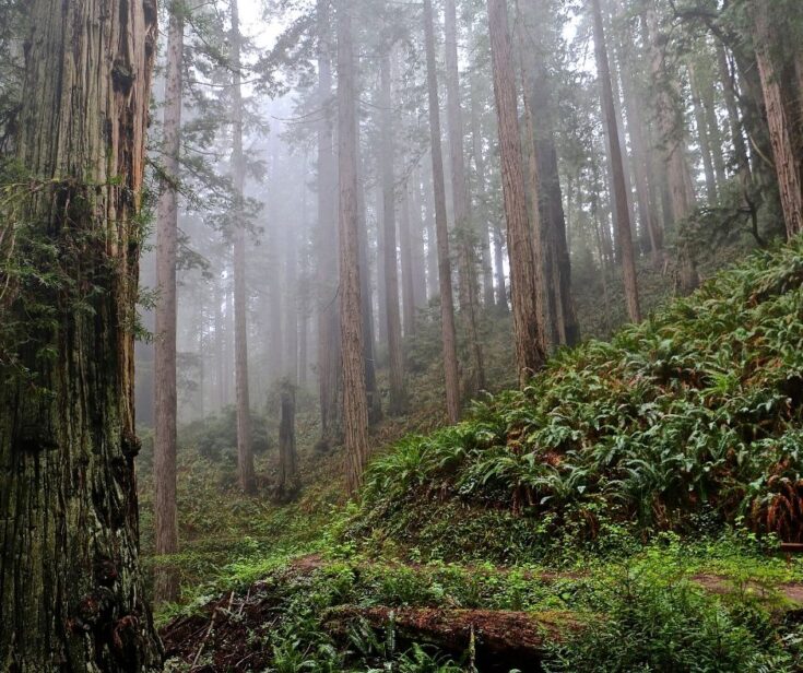 23 Best USA National Parks To Visit In The Spring - National Park Obsessed