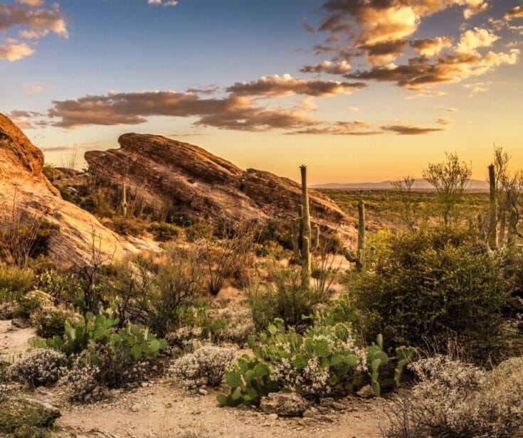 23 Best USA National Parks To Visit In The Spring - National Park Obsessed