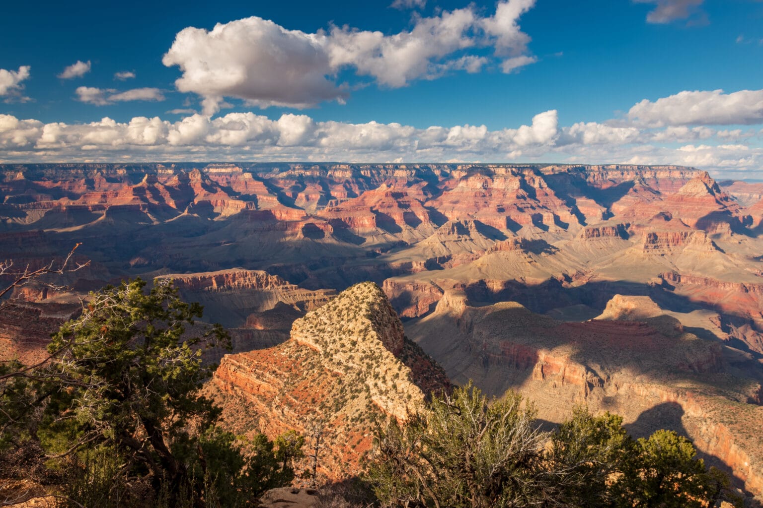17 Things You Can't Miss On Your First Visit To Grand Canyon National ...