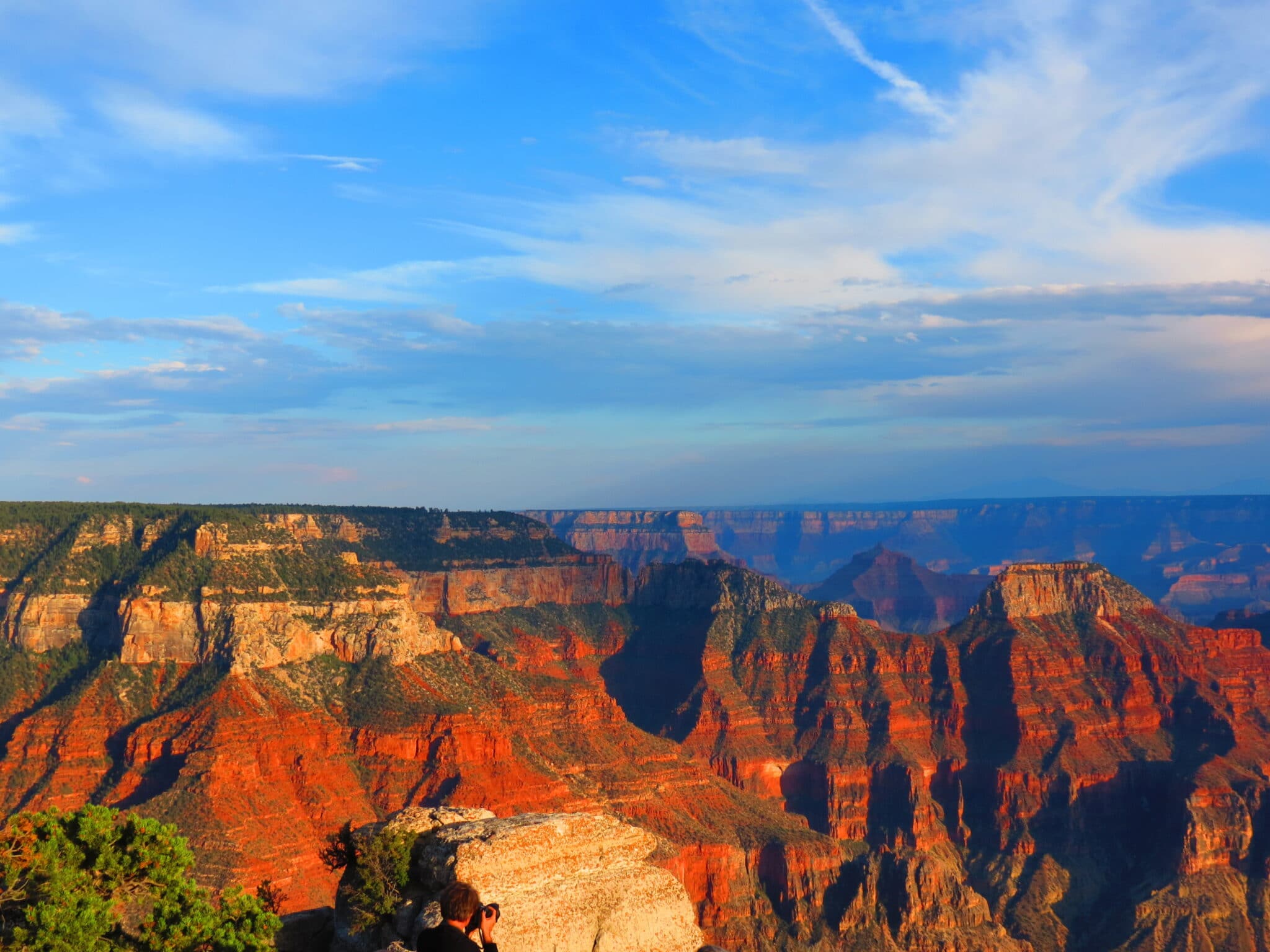 17 Things You Can't Miss On Your First Visit To Grand Canyon National ...