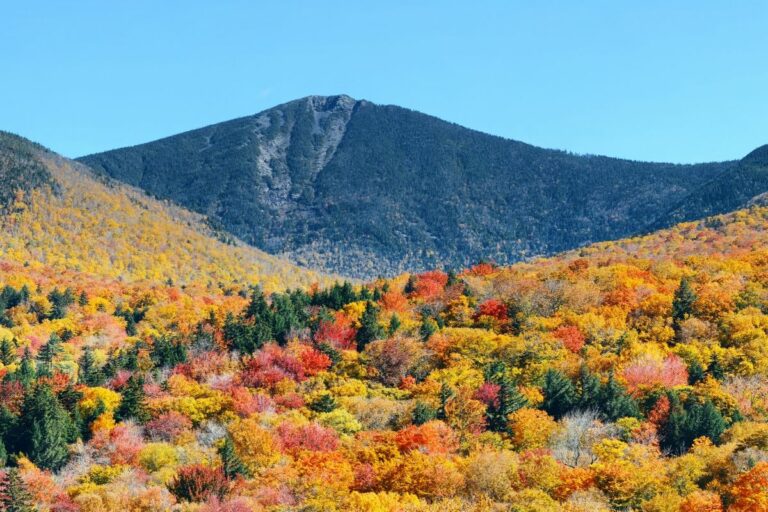 The Complete List Of US National Forests - National Park Obsessed