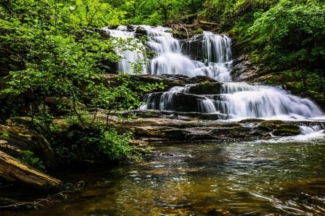 The Complete List Of US National Forests - National Park Obsessed