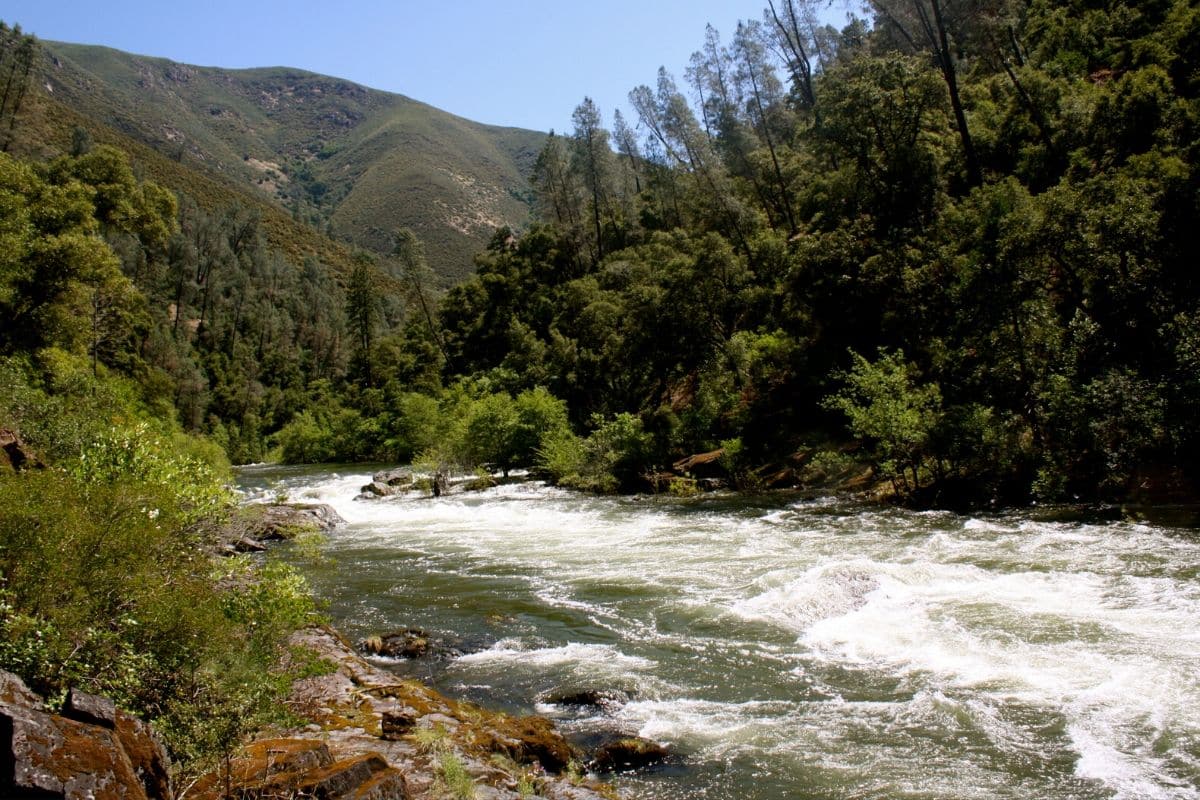 The Complete List Of US National Forests - National Park Obsessed