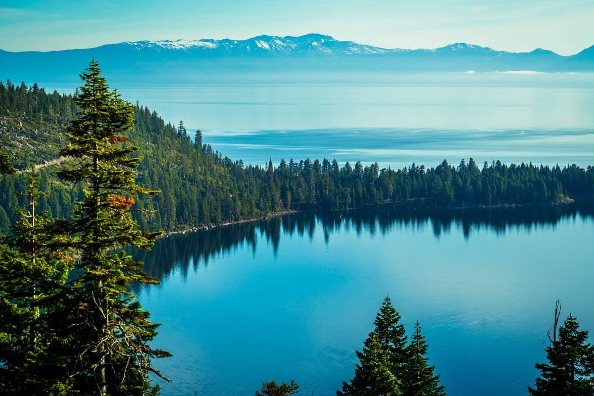 The Complete List Of US National Forests - National Park Obsessed