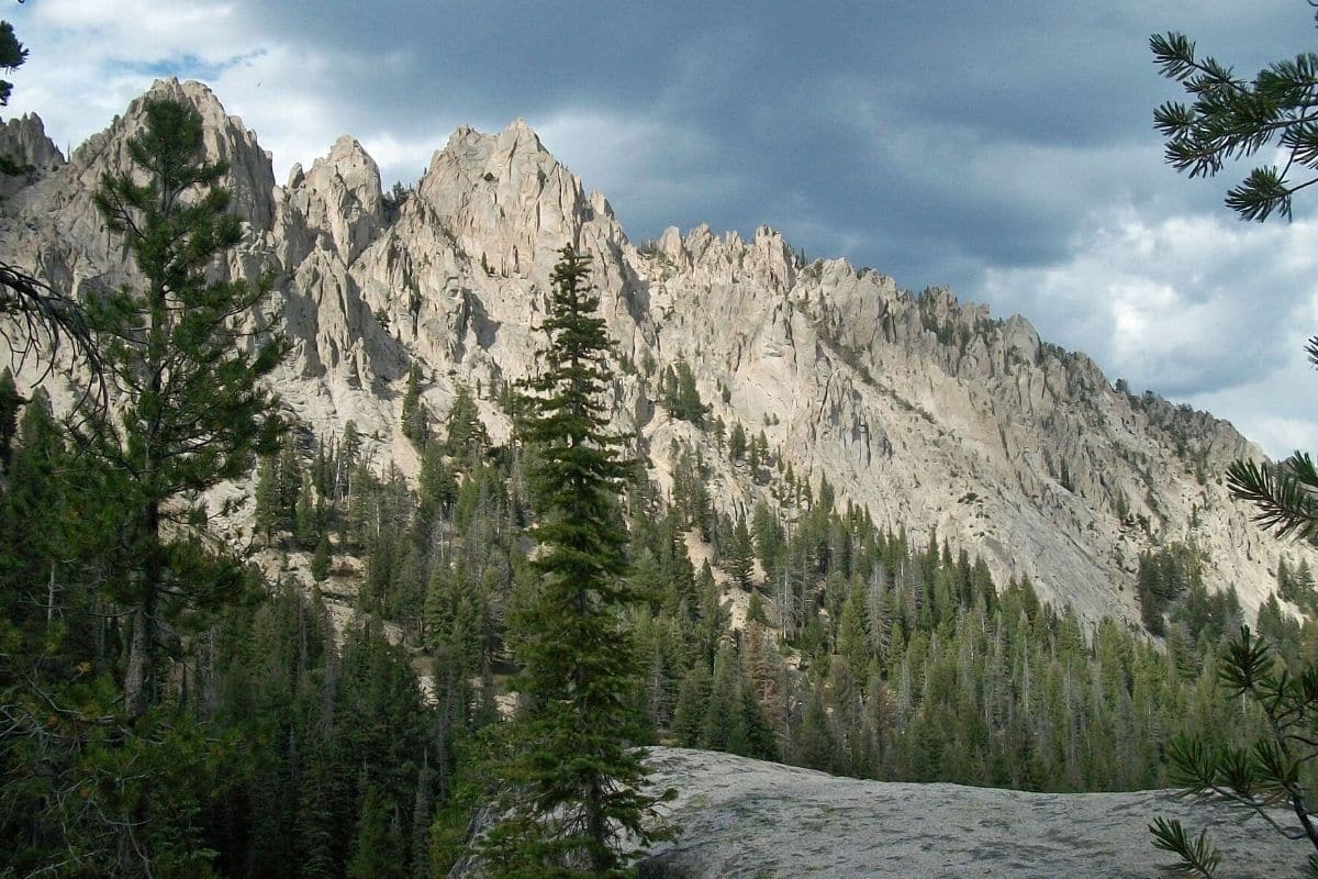The Complete List Of US National Forests - National Park Obsessed