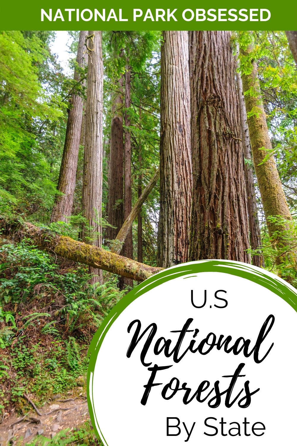 The Complete List Of US National Forests - National Park Obsessed