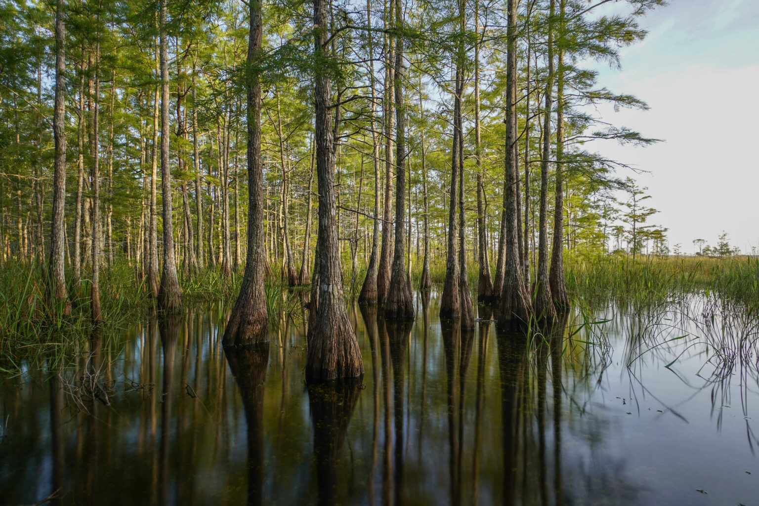 National Parks Of Florida - National Park Obsessed