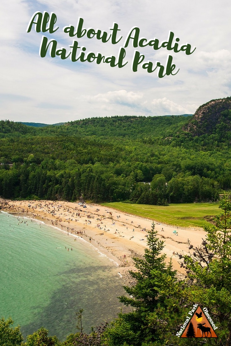 Visiting Acadia National Park: The Complete Guide For 2024 - National ...