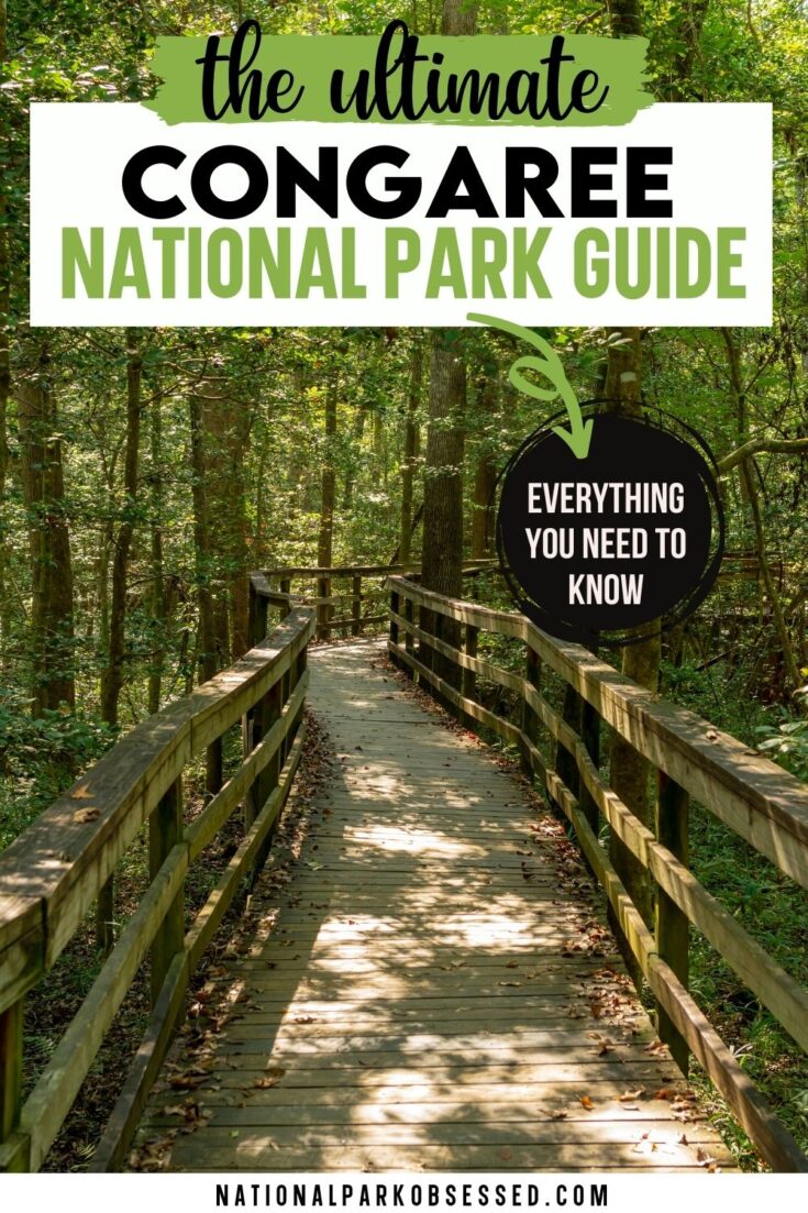 Visiting Congaree National Park: The Complete Guide For 2024 - National ...