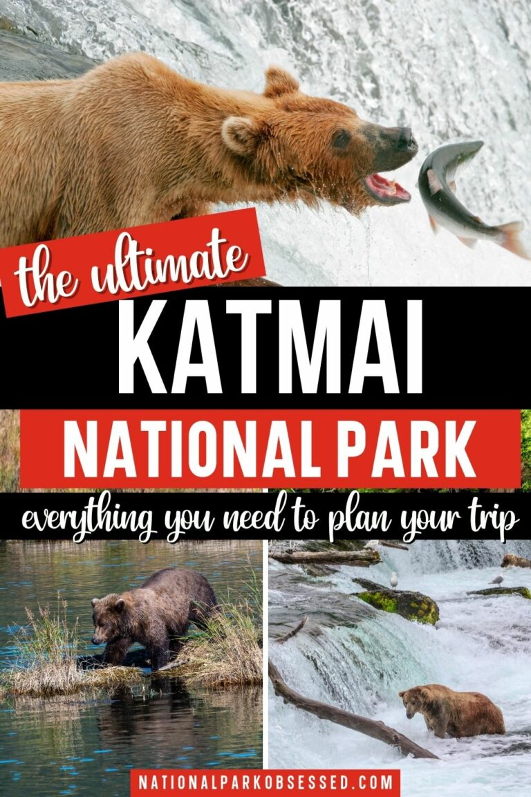 Visiting Katmai National Park And Preserve: The Complete Guide For 2024 ...