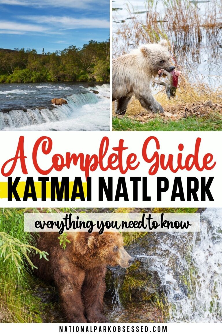 Visiting Katmai National Park And Preserve: The Complete Guide For 2024 ...