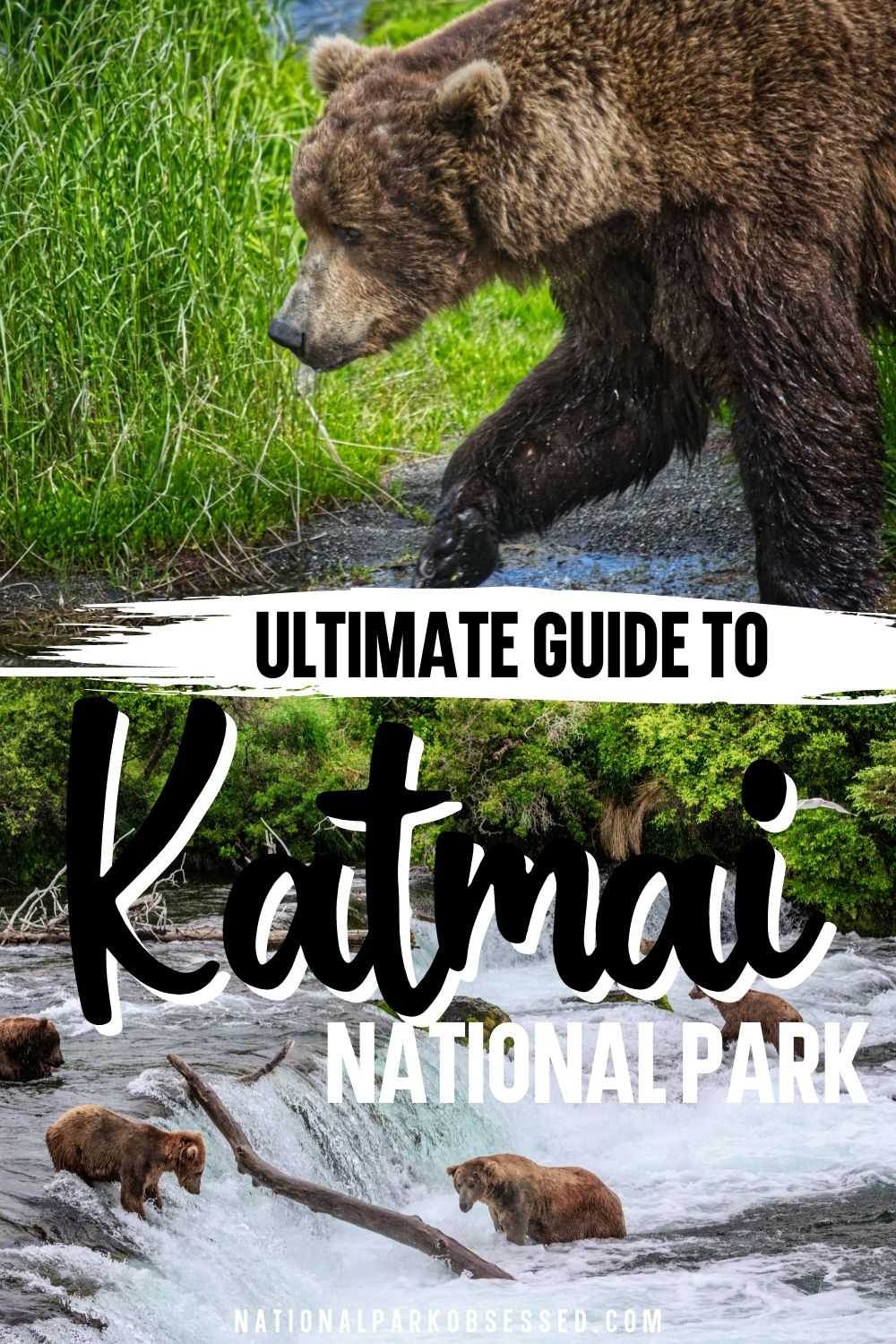 Visiting Katmai National Park And Preserve: The Complete Guide For 2024 ...