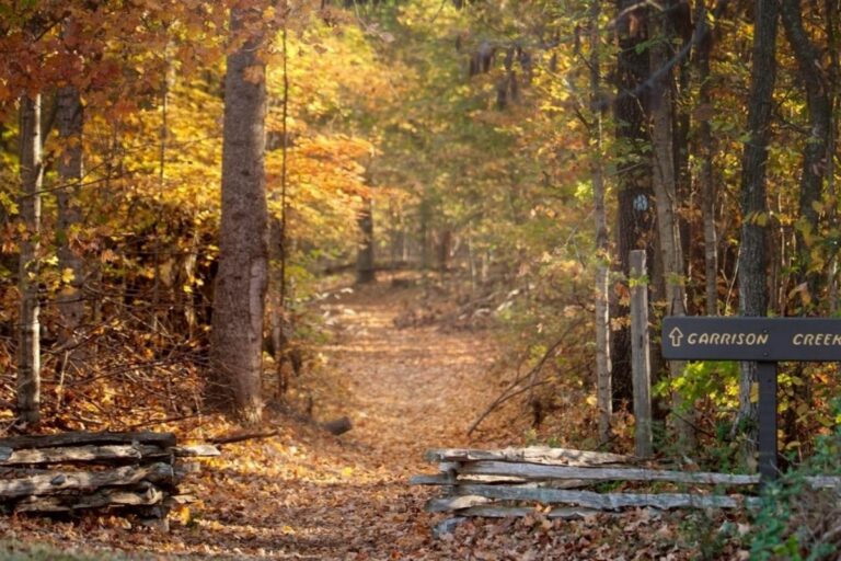 National Parks In Tennessee: Explore The 13 Tennessee National Parks ...