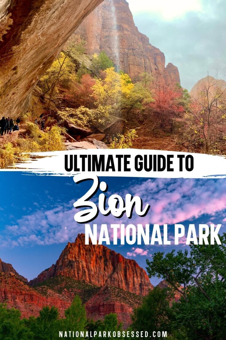 Visiting Zion National Park: The Complete Guide For 2024 - National ...