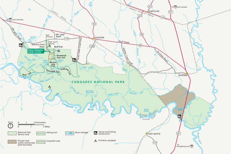 Visiting Congaree National Park: The Complete Guide For 2024 - National ...