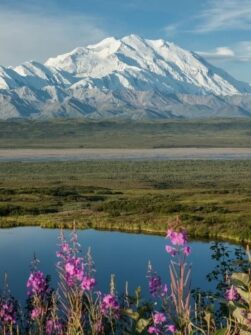 35+ Extraordinary Denali Facts & Statistics - National Park Obsessed