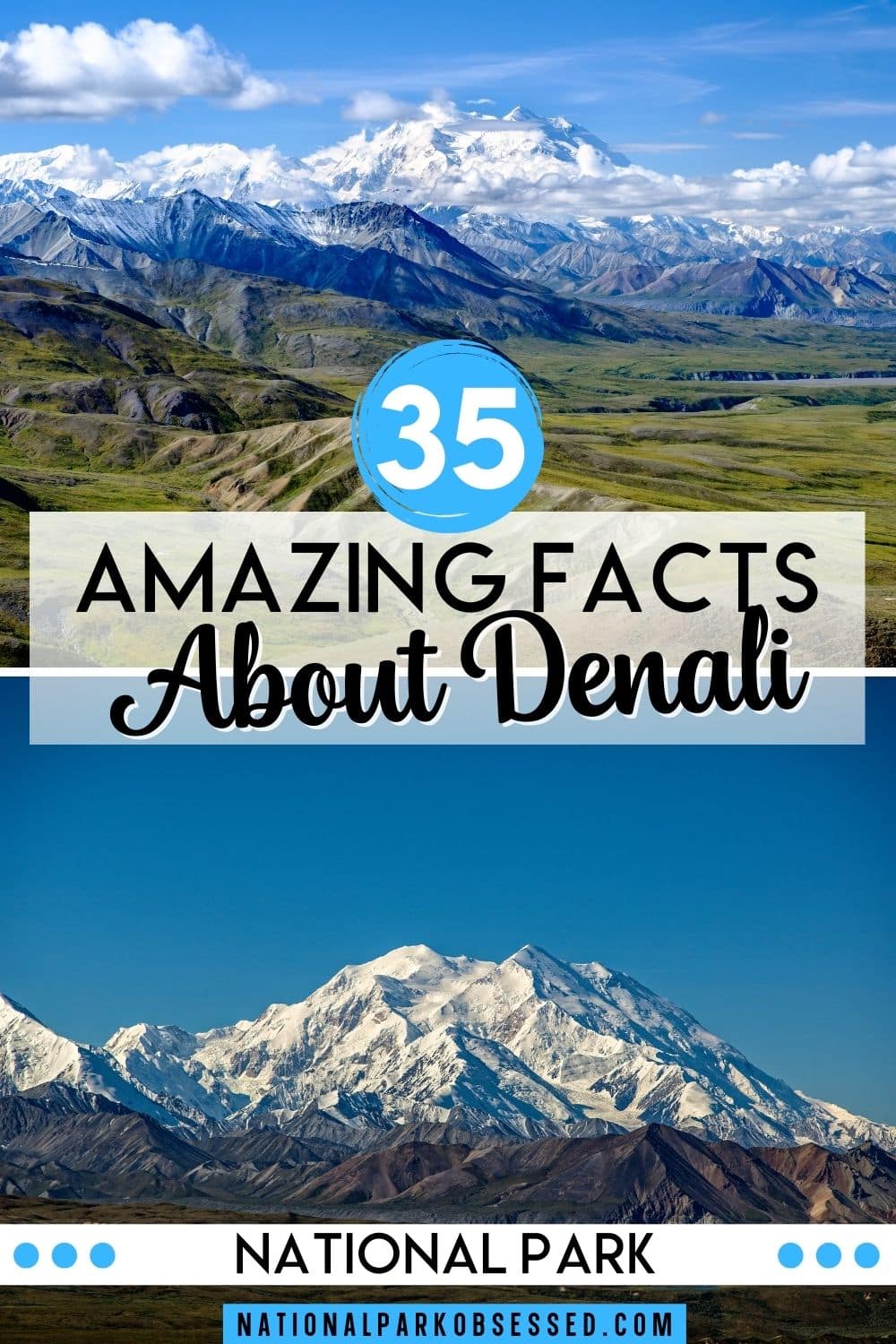 35+ Extraordinary Denali Facts & Statistics - National Park Obsessed
