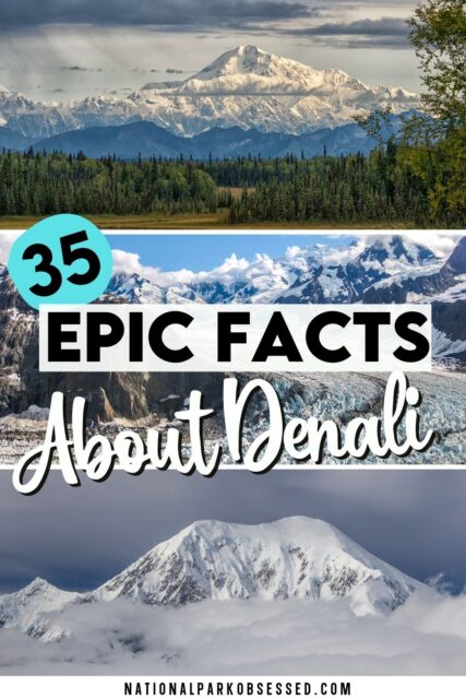 35+ Extraordinary Denali Facts & Statistics - National Park Obsessed